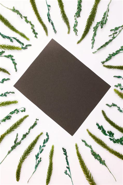 Editable Background Templates Photos Download The Best Free Editable Background Templates Stock