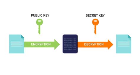 Premium Vector Public And Private Or Secret Key Infrastructure In Encryption Decryption