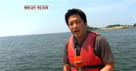 독성 해파리떼 극성어장 초토화