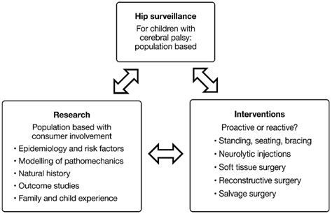 Hip Surveillance Research And Interventions Copyright Bill Reid Pam