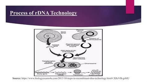 Recombinant Dna Technology Pptx