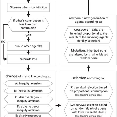 Schematic Depiction Of The Evolutionary Model Flow Including