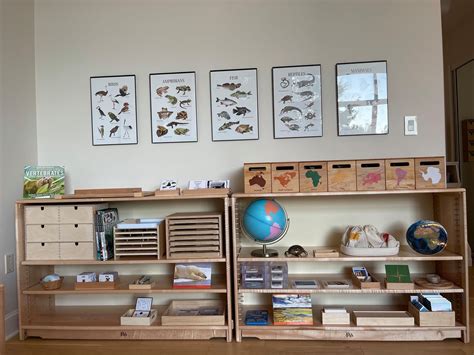 Classroom Decor Vertebrates Mood Board