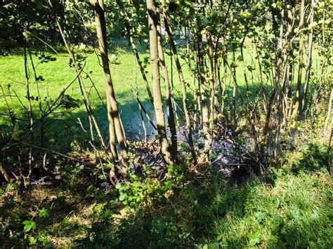 Požár Trávy A Klestí Hasiči Frenštát Pod Radhoštěm