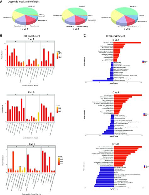 Biological Analysis Of Differentially Expressed Proteins Deps Between