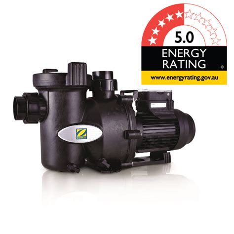 Zodiac Variable Speed Pump 60 Photos