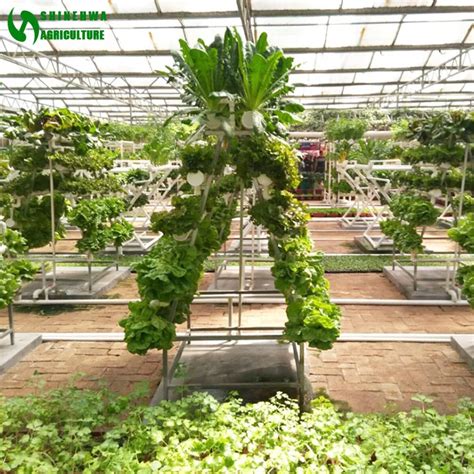 vertical dft hydroponics farm for sale lettuce systems