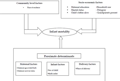 Conceptual Framework For Infant Mortality Source Modify Form Of Download Scientific Diagram