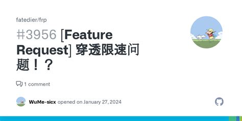 Feature Request 穿透限速问题 Issue fatedier frp GitHub