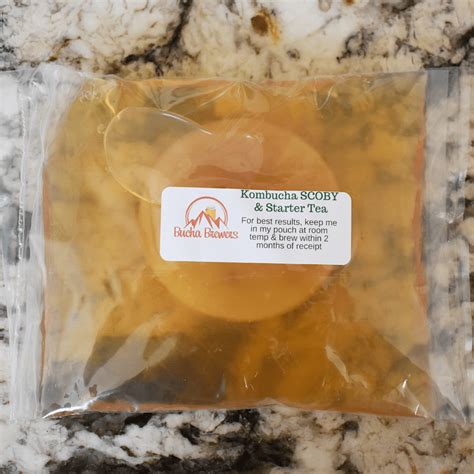 Kombucha Scoby With 8 Ounces Starter Tea Bucha Brewers