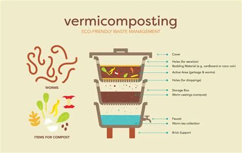 How To Get Started Designing Your Own Vermicomposting System Thatbackyard