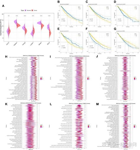 整合单细胞和转录组数据构建中性粒细胞相关的预后模型 知乎