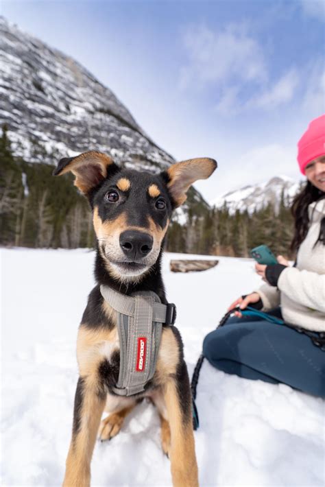 Rachael Rodgers Photo Works Rachael Rodgers Photo Works