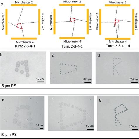 Cell Viability Test And Cell Manipulation The Conditions For Cell