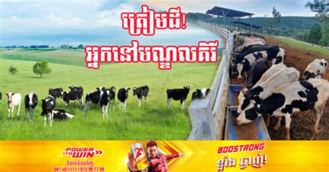 ក្រុមហ៊ុនផលិតទឹកដោះគោធំ ១ ត្រូវការដី ១ម៉ឺនហិកតានៅមណ្ឌលគិរី ដើម្បីចិញ្ចឹមគោយកទឹកដោះ Khmernote