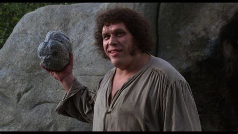 The Princess Bride Blu Ray Robin Wright Penn