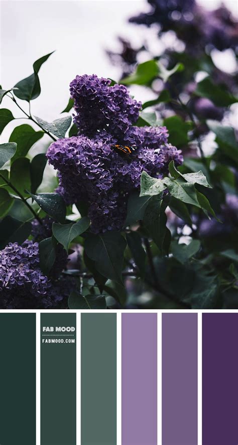 Color Inspiration Images Page 2 Purple Color Palettes Purple Color