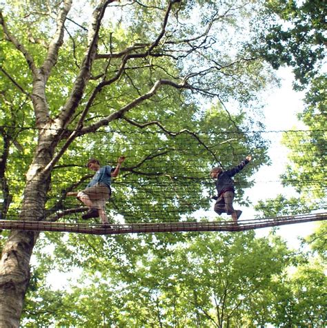 Treetop Walkway Design Build UK Worldwide Treehouse Life