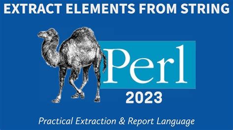 Perl Logo
