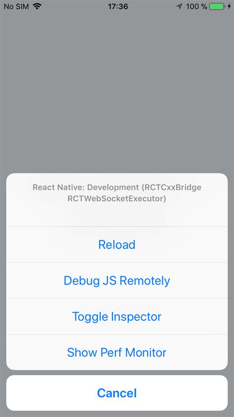 Remote JS Debugger Option Gives Connection Timed Out On Real Device IOS Issue