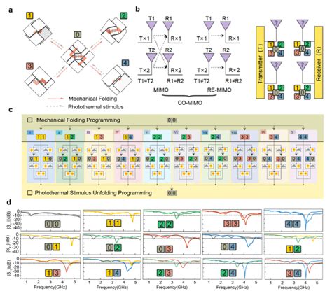 The 2×2 Coded Multiple Input Multiple Output Co Mimo System With The