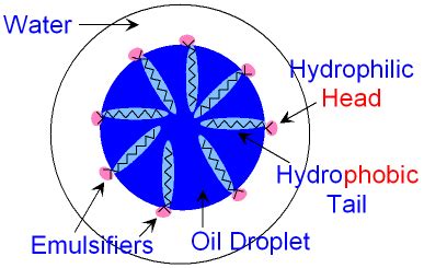 Gcse Chemistry What Is An Emulsifier How Does An Emulsifier Work
