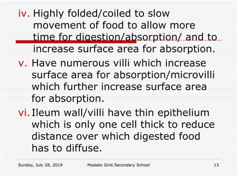 Dissection Of Frog Toad Updated Notes Pptx Dissection Of Frog Toad Updated Notes Pptx