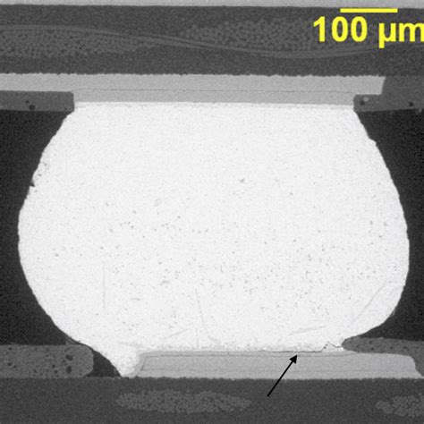 Bga Solder Joint Fracture Sem Lab Inc