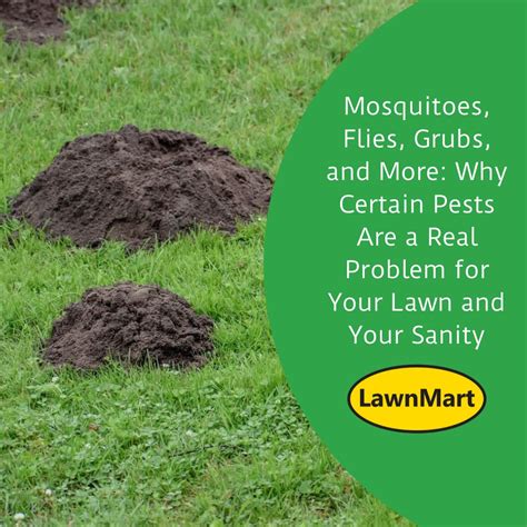 Lawnmart Landscaping Greengrass Bolton Toronto Caledon Vaughan
