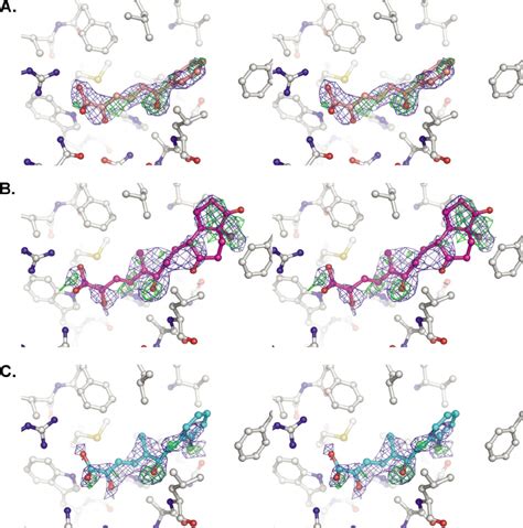 Section Of Electron Density Map Of S114a In Complex With Mcp Stereo