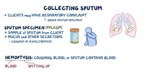 Sputum Specimen Medical Term At Ruth Flaherty Blog