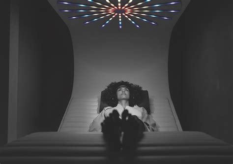 Grey Wolfe The Tranquil Oasis Of Calm In Barnes