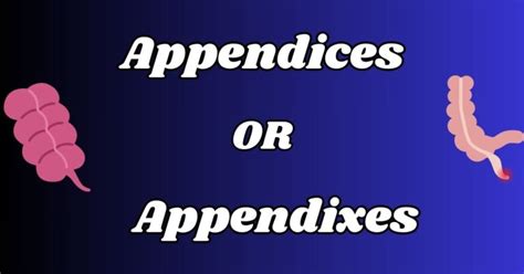 Appendices Or Appendixes Whats The Difference