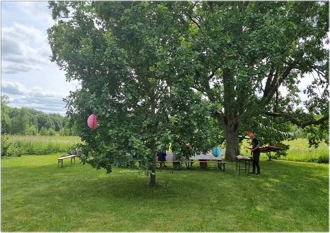 Paduri Tammed Viru Instituut