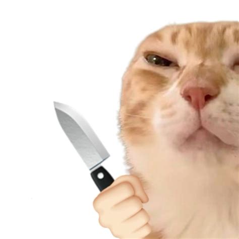 Chinese Cat Memes