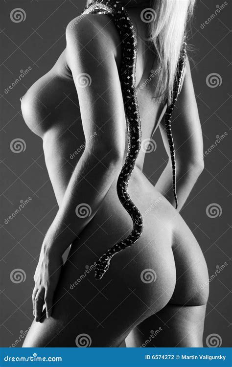 Attraktive Nackte Frau Mit Schlange Um Ihren Stutzen Stockfoto Bild Von Implantate Wunsch