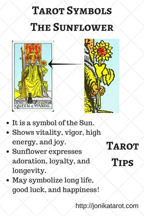 Tarot Cards Symbols Meanings