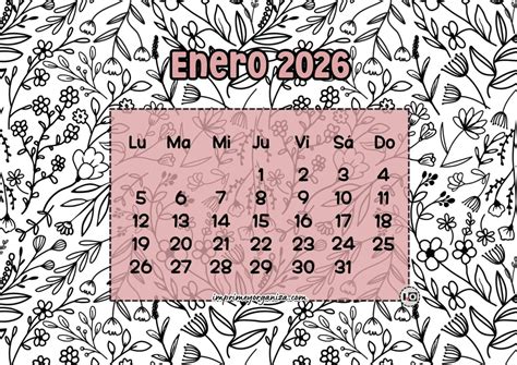 Calendarios Mensuales 2026 Flores Line Art En Pdf [gratis]