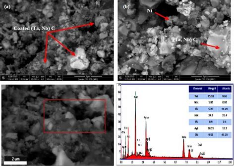 Sembse Micrograph For A Coated Tanbc 15ni Powders B Mixed