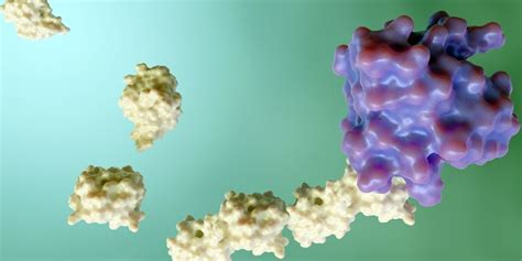 Advancing Plasma Proteomics Analyses Lab Manager