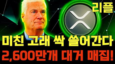 리플 Xrp 긴급 속보 미친 고래 싹 쓸어간다 2600만개 대거 매집 Youtube