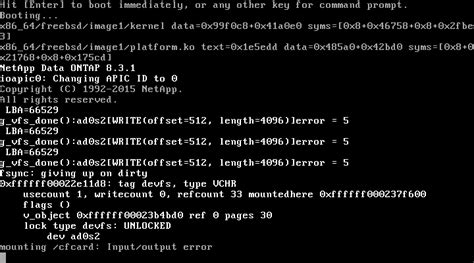 Solved Simulate Ontap 831 With Mounting Cfcard And Panic Netapp Community
