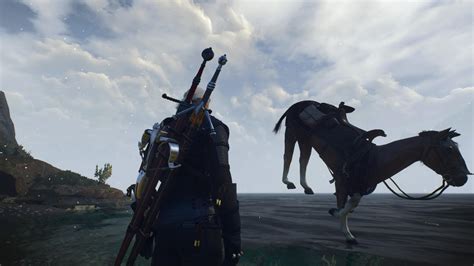 Been Teaching Roach Some New Tricks Im So Proud Of Her Thewitcher3