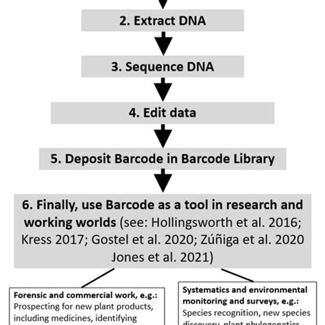 Depiction Of The Patterns Produced By The Clustering Of Sequence Download Scientific Diagram