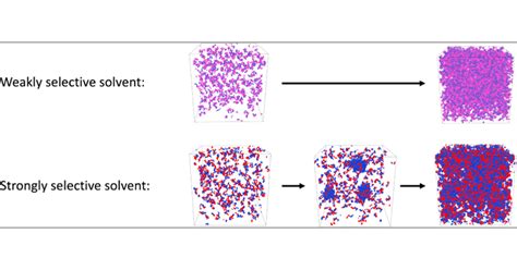 Solvent Selectivity Controls Micro Versus Macrophase Separation In