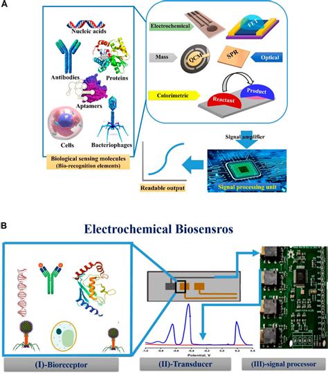 Frontiers Advances In Nanocomposites Based Electrochemical Biosensors For The Early Diagnosis