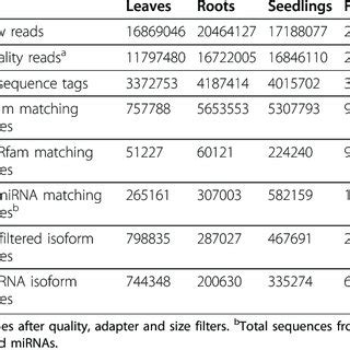 Summary Of Small RNA Sequencing Data Analysis Download Table