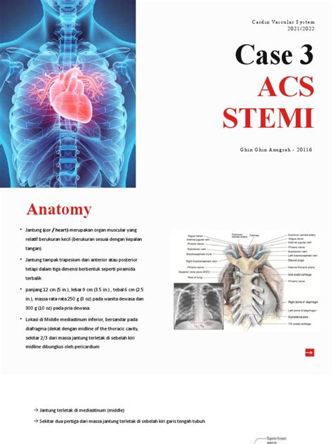 Case 3 Cvs Pdf
