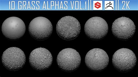 Zbrush Grass Alphas 3d Model Cgtrader