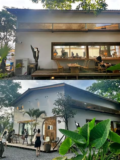 热带雨林咖啡主题店院子 旅行随手拍 咖啡店 网红店 庭院设计 庭院景观 上热门 小红书 花瓣网